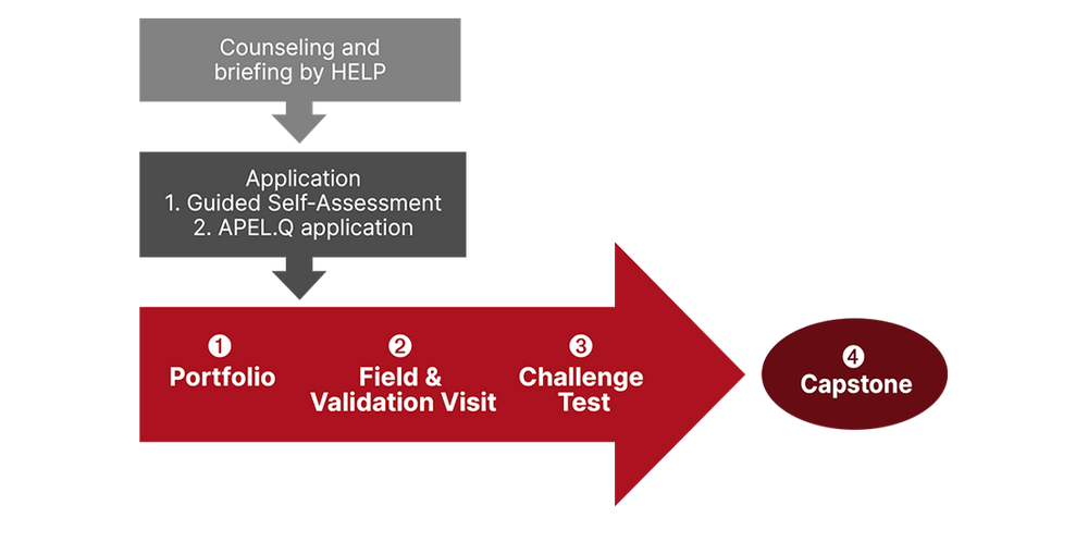 HELP APEL.Q - Assessment Process
